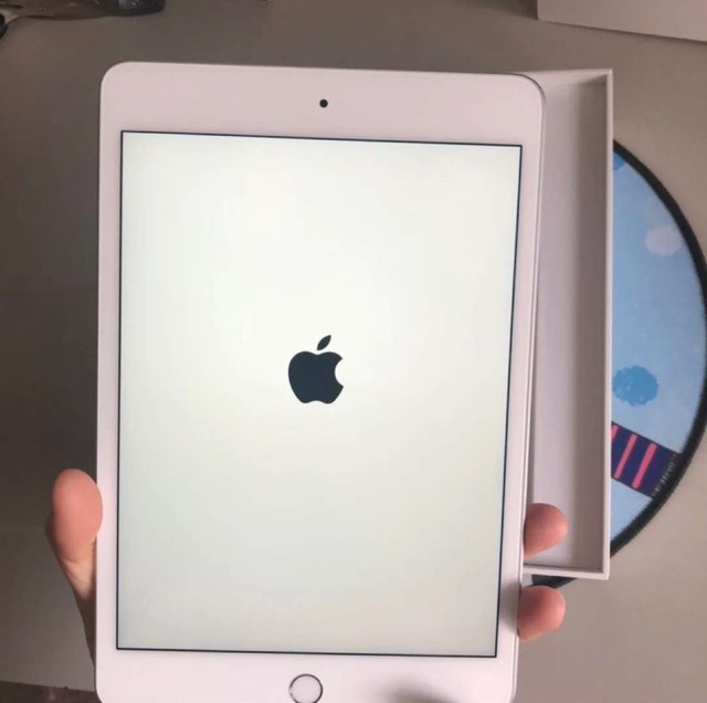 人生第一台iPad：mini5-中关村在线头条